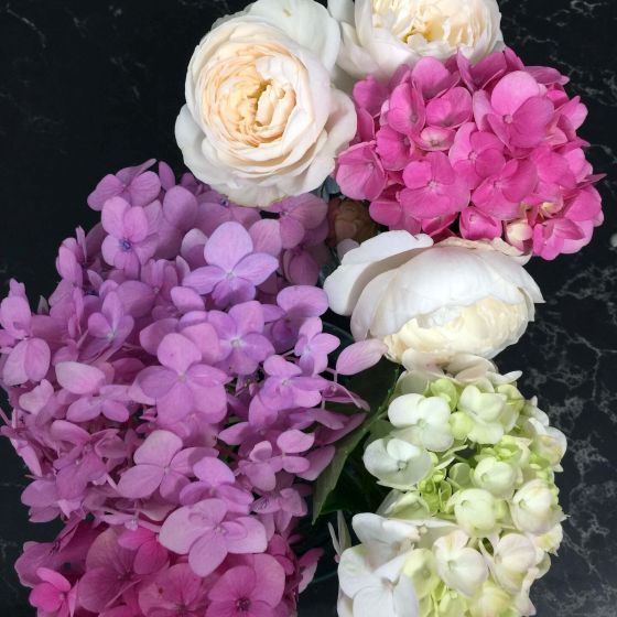 Index of /newsletters/2021